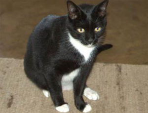 Missing Missy – One of my faves