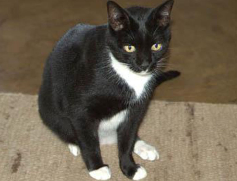 Missing Missy – One of my faves